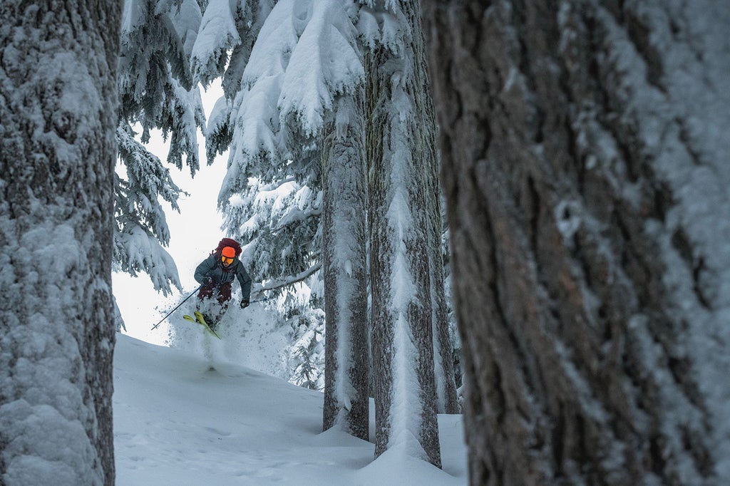 The Secret To Tree Skiing