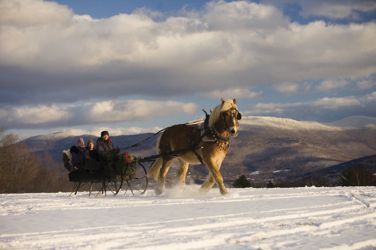 Horse Drawn Carriage Ride - Ski Mag