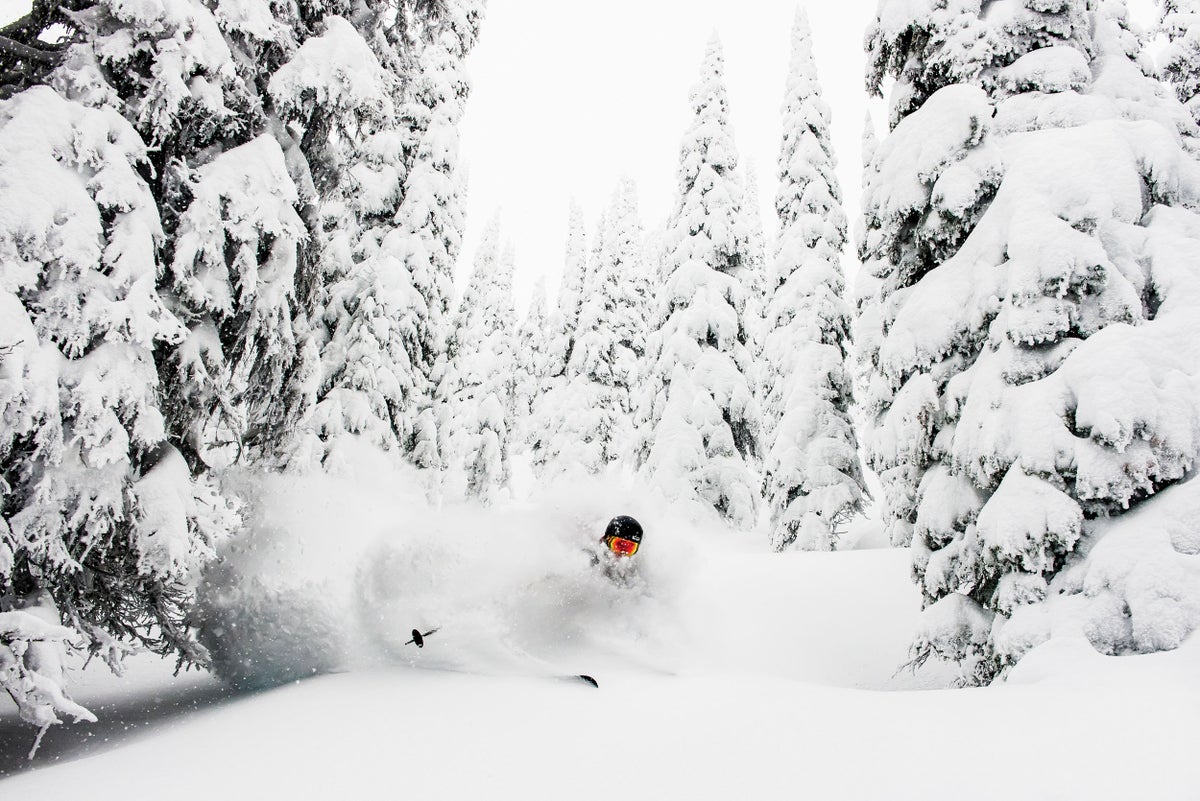 You've Never Thought About a Powder Highway Road Trip Quite Like This ...
