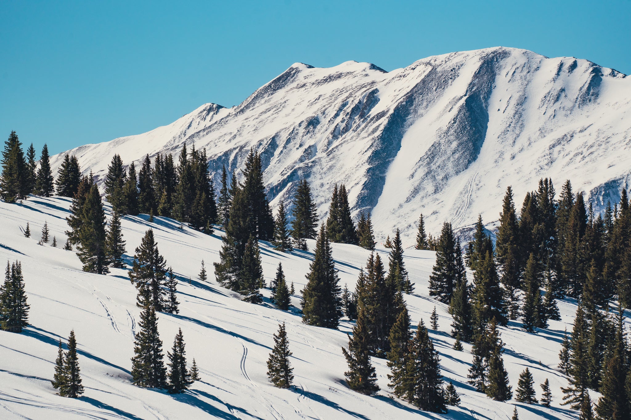 Keystone Shares Bergman Bowl Trail Map | SKI