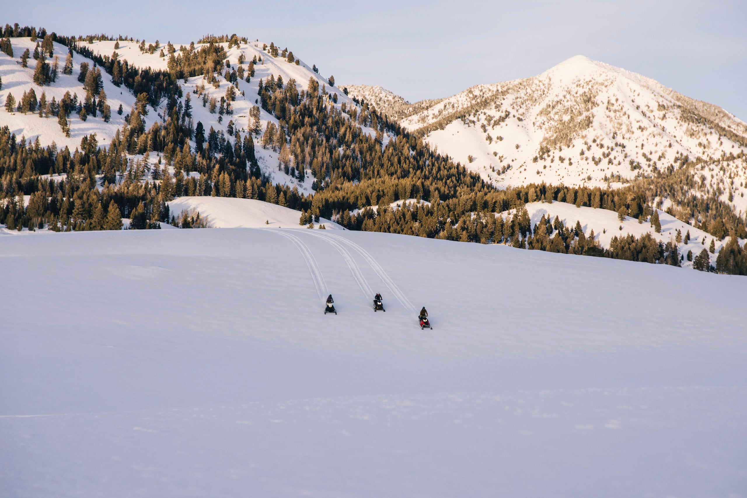 A Beginner's Guide to Sled Skiing | SKI